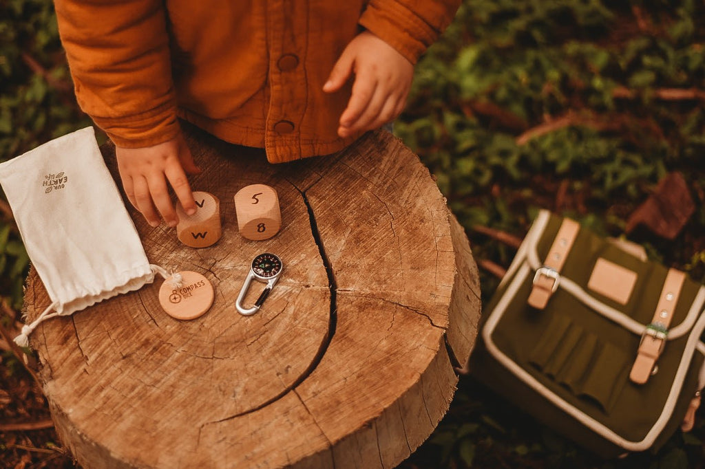 Compass Dice | Nature Play for Outdoor Kids – Our Earth Life