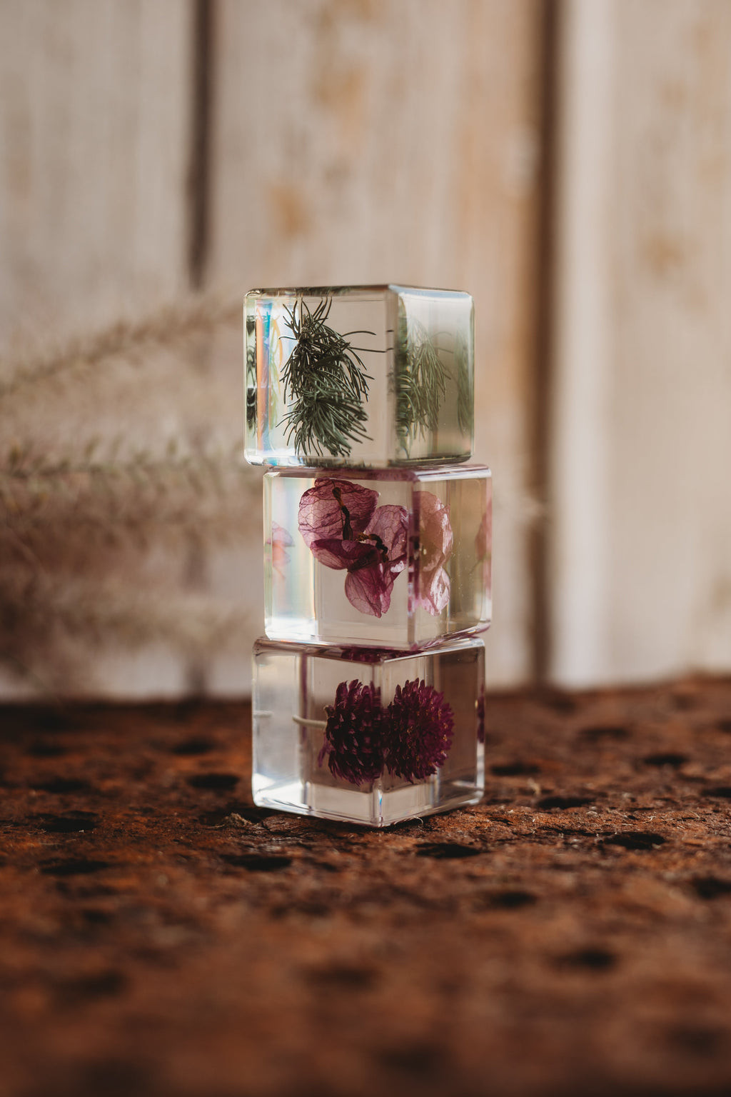 Trio of Flora Specimens | Stackables | Resin Cubes for Nature Play ...