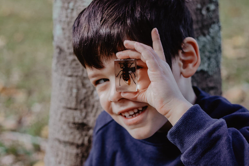 Wasp Specimen | Resin Specimens for Kids | Nature Play + STEM Resources ...